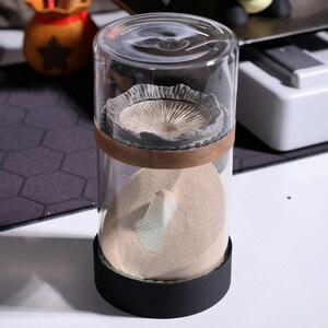 Dune Sandworm Sand Hourglass Glass Night Light Unique Lamp for Bedroom ...