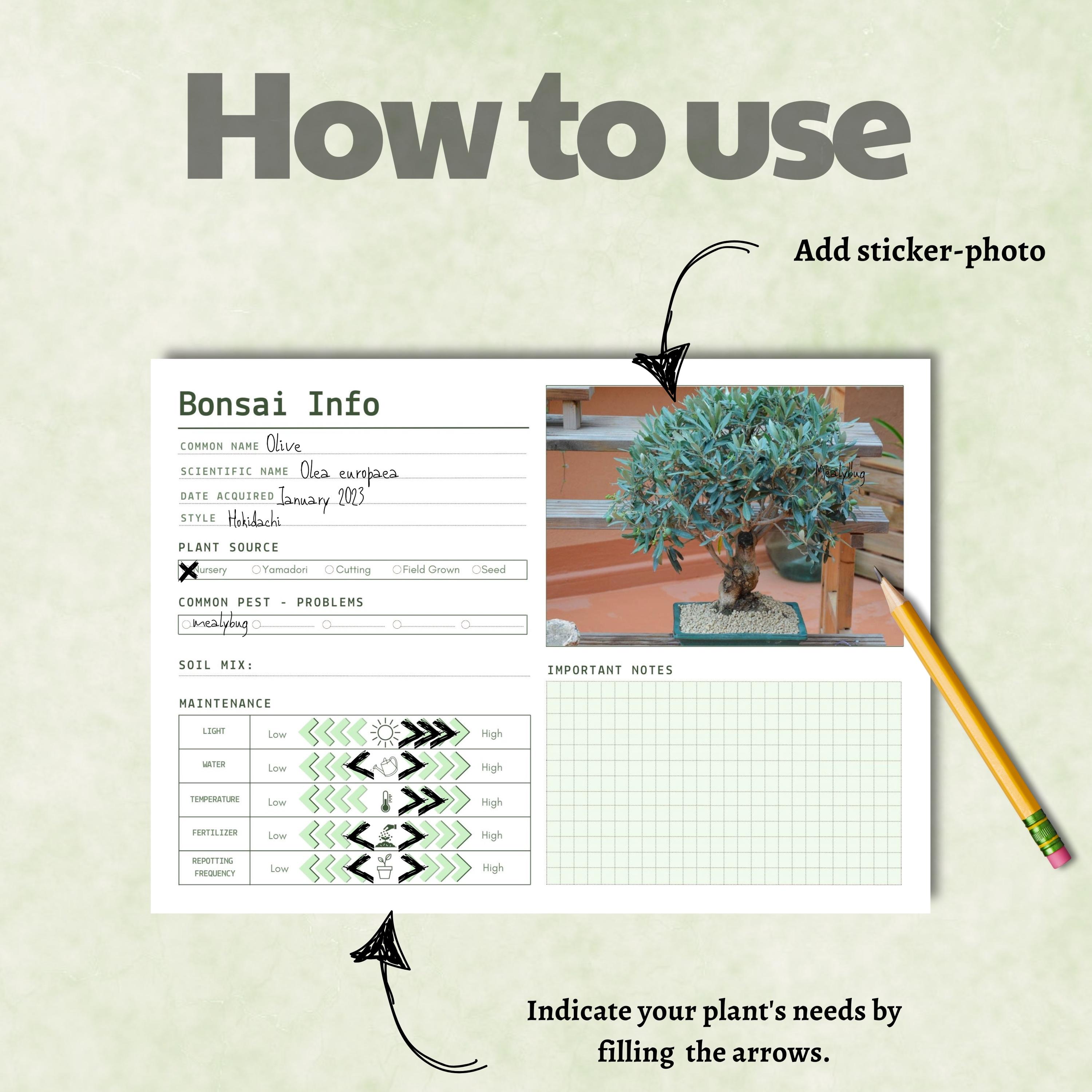 Bonsai Care Tracker, Bonsai Growing Planner, Bonsai Care Bundle, Bonsai Log, Garden Watering ...