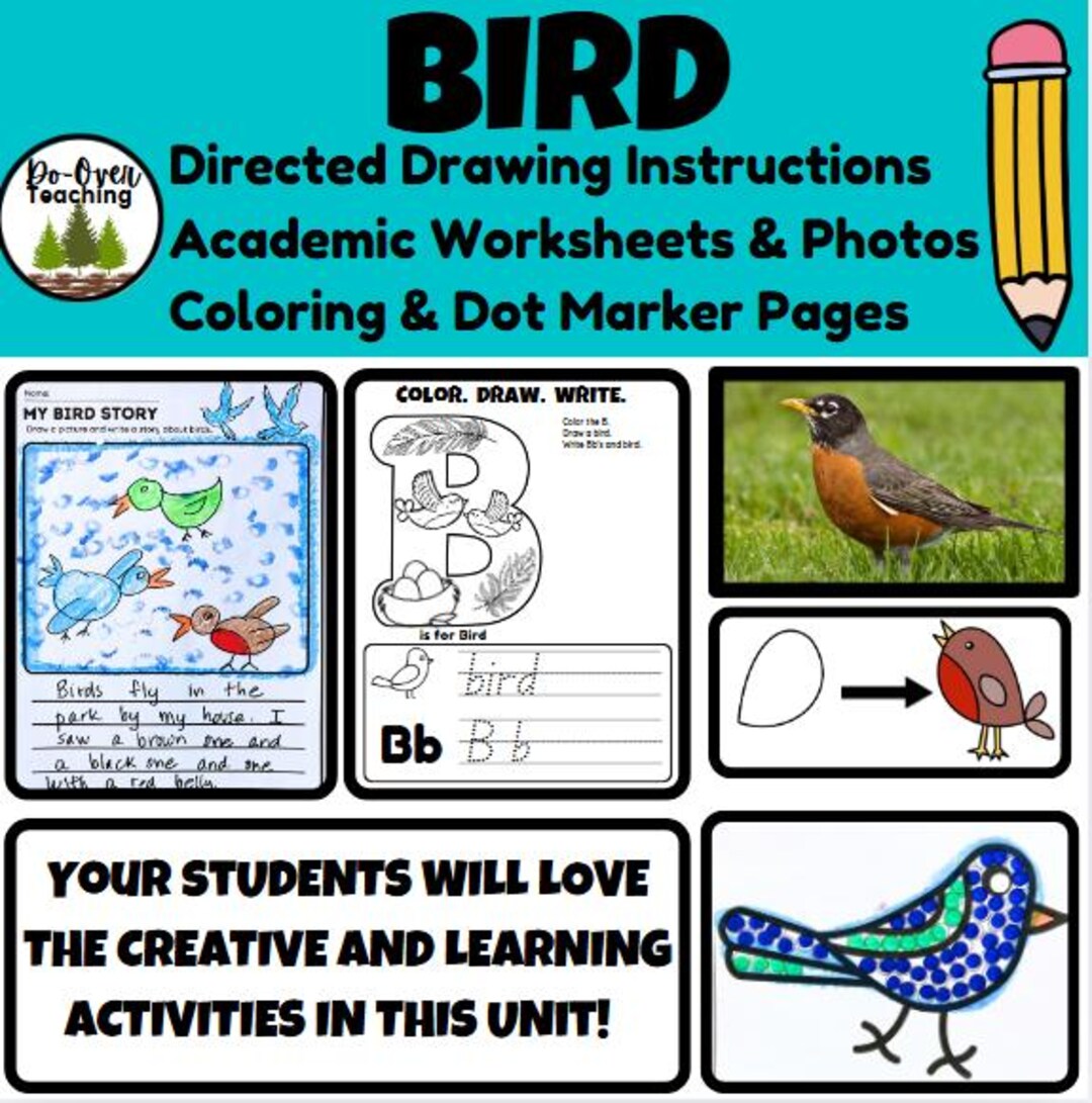 Bird Activities Directed Drawing, Academic Worksheets, Coloring & Dot ...