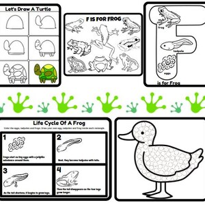 Pond Coloring and Dot Marker Pages Preschool Kindergarten Curriculum ...