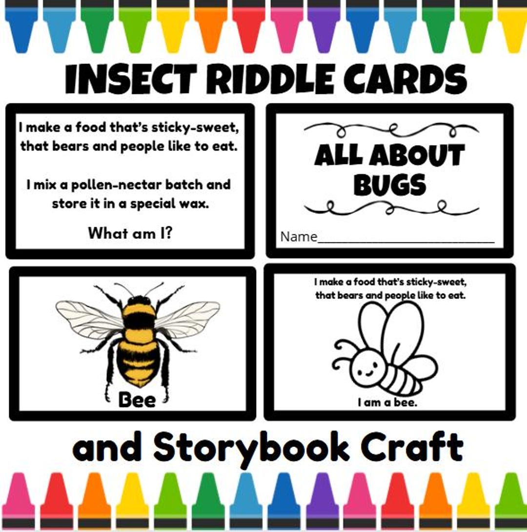 Insect Riddle Fact Cards and All About Bugs Storybook Craft Bug ...