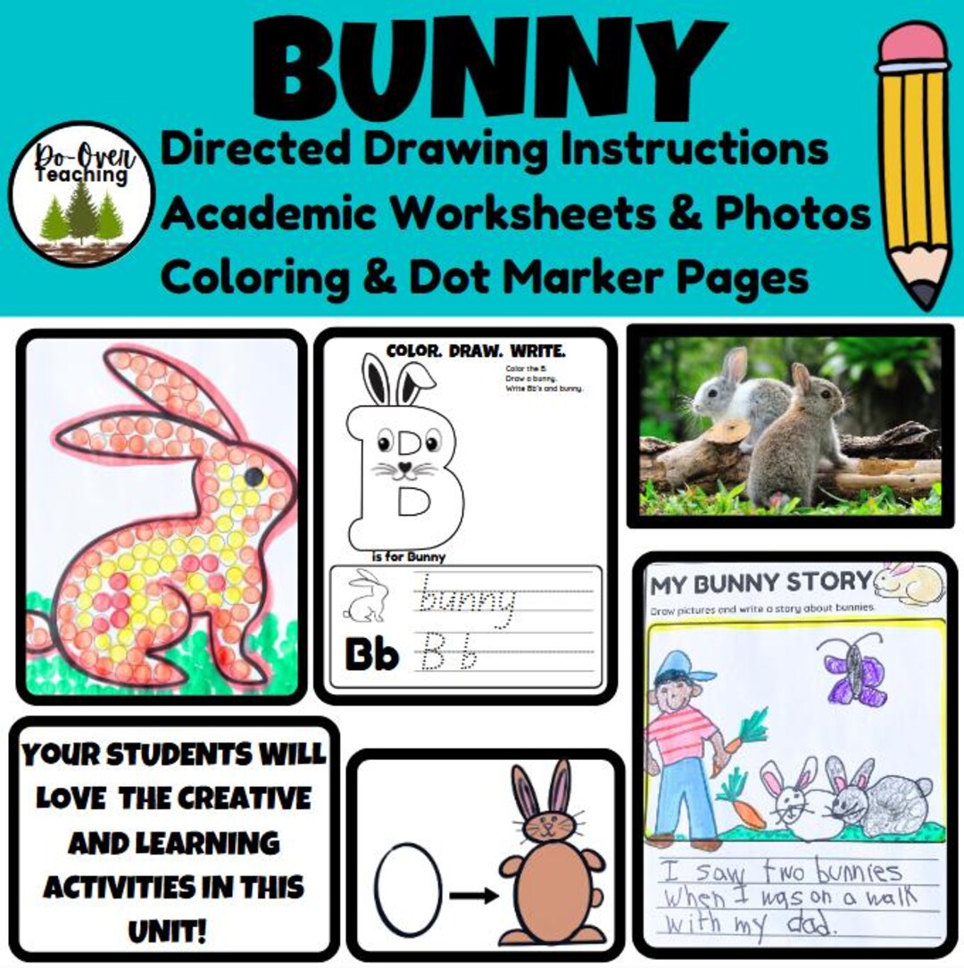 Bunny Rabbit Activities Directed Drawing, Academic Worksheets, Coloring ...