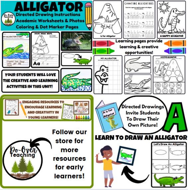 Alligator Reptile Activities Directed Drawing, Worksheets, Coloring ...