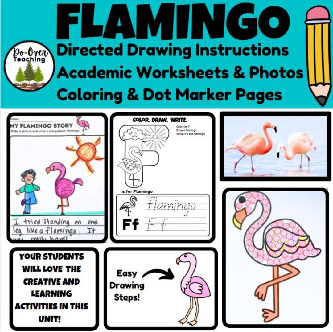 Flamingo Bird Activities Directed Drawing, Academic Worksheets ...