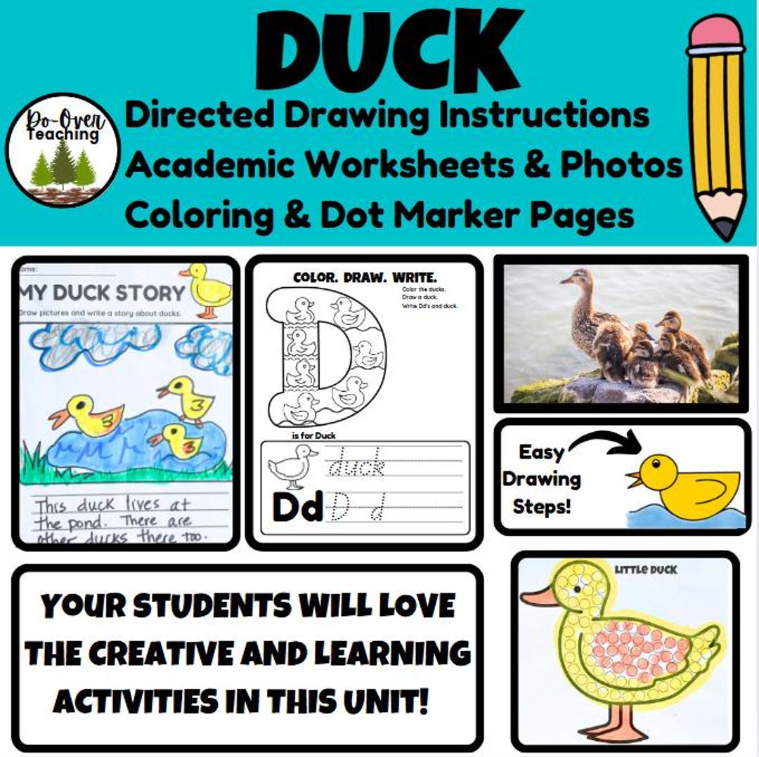 Duck Farm Activities Directed Drawing, Academic Worksheets, Coloring ...