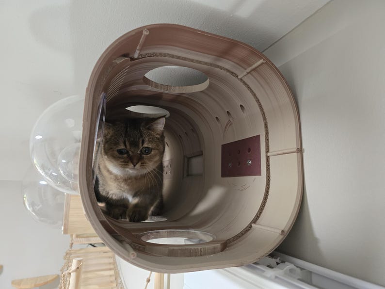 Modular Cat Wall Tunnel 1 Module - Etsy