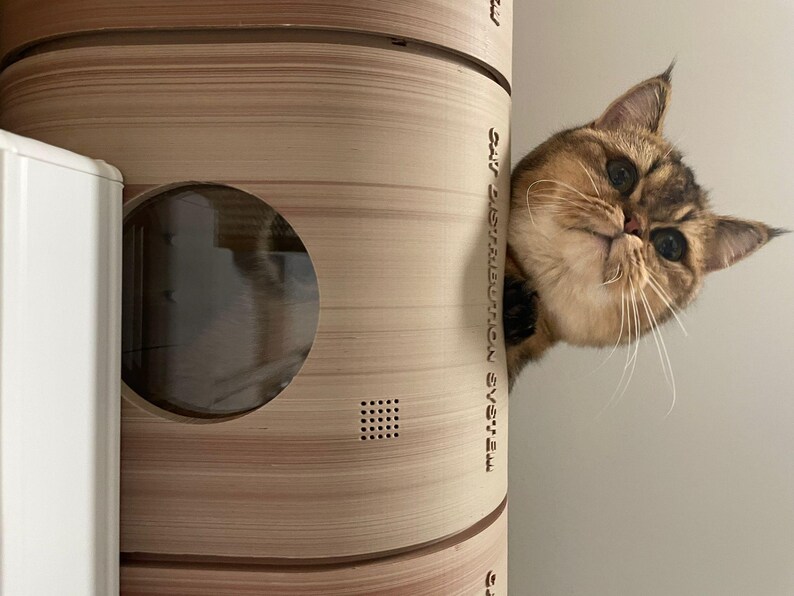 Modular Cat Wall Tunnel 1 Module - Etsy