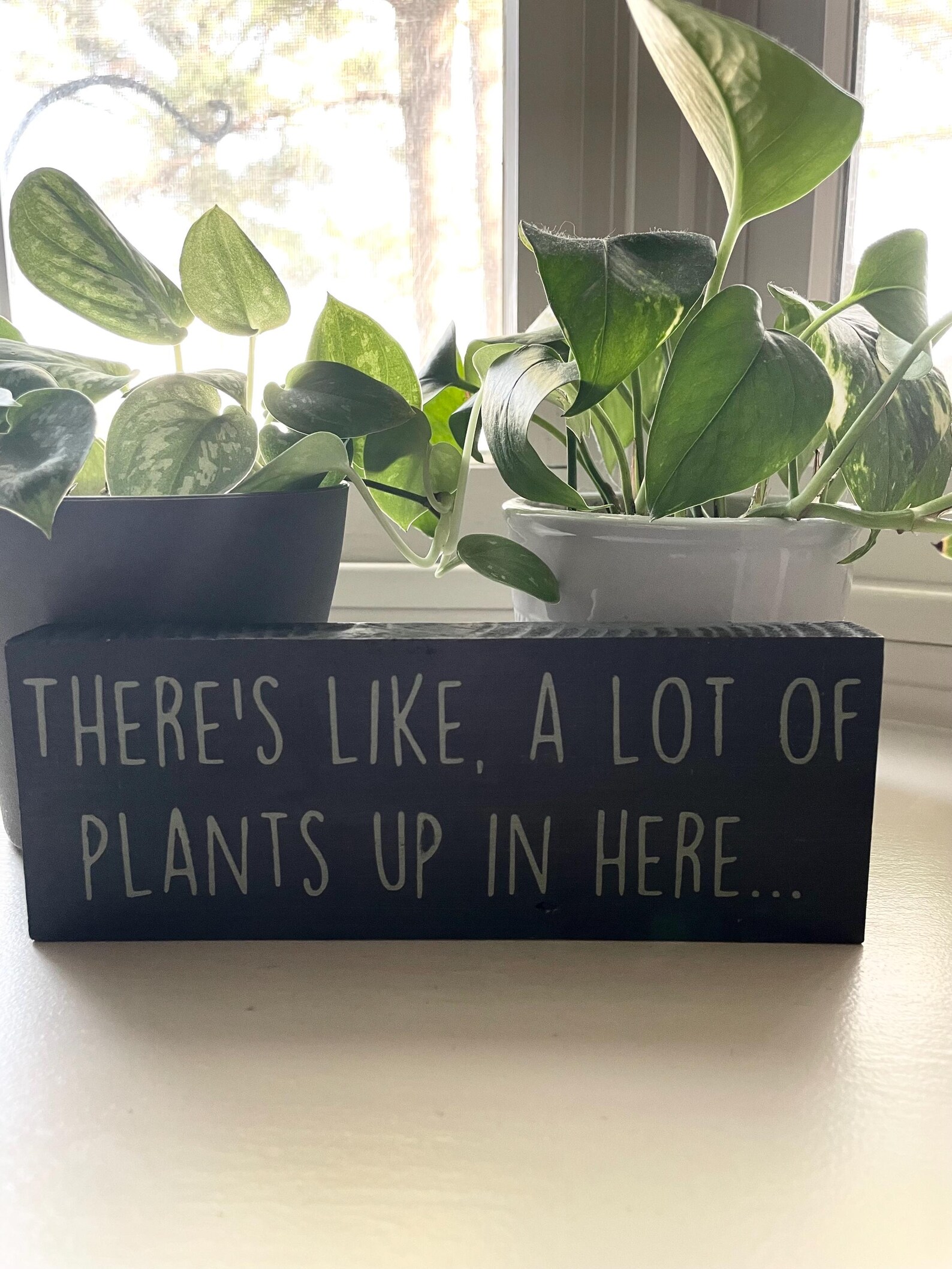 Handcrafted Plant Pun Wood Block Sign: Funny Plant Decor - Etsy