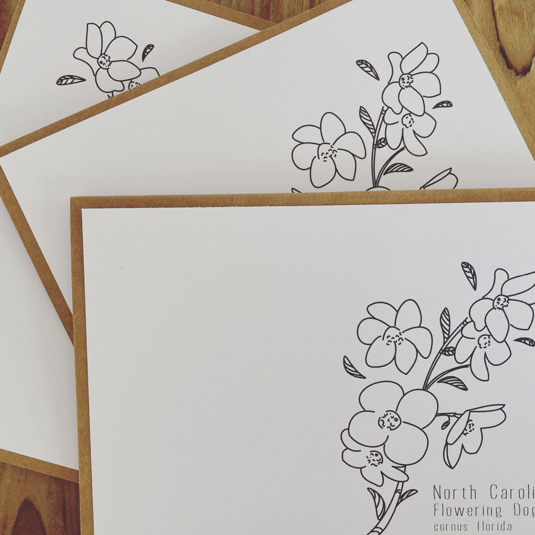 State Flower Notecards, Floral Stationery, North Carolina Dogwood, Set ...