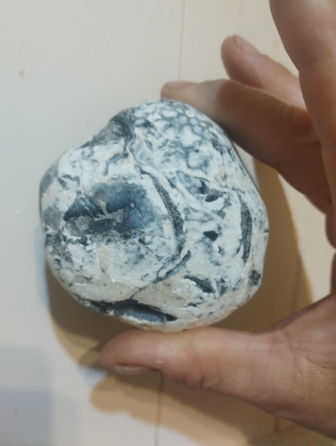 Flint Stone. Black Flint, With the Most Beautiful White Skin. Made by ...