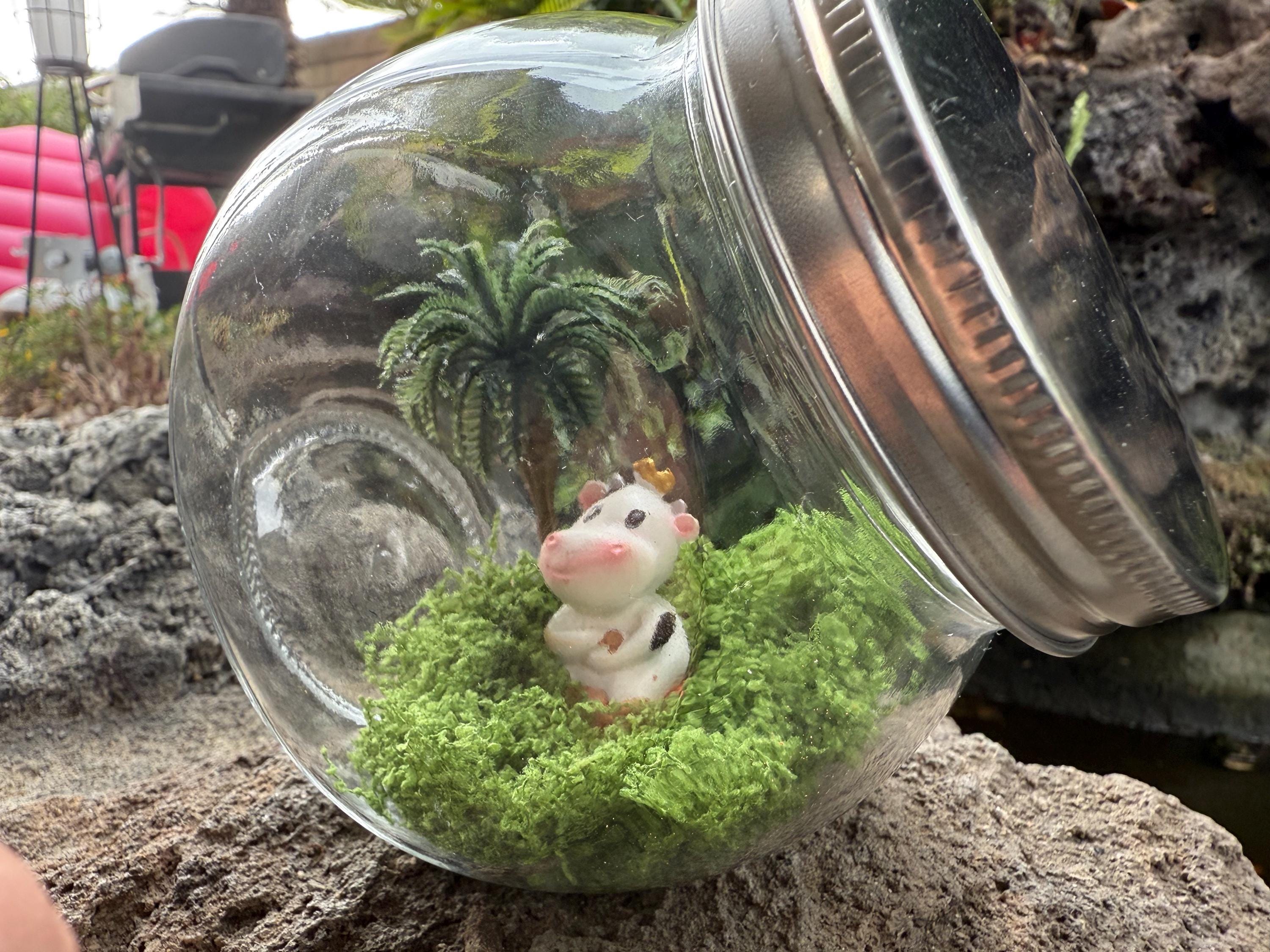 The Cow King Diorama Terrarium Glass Jar - Etsy