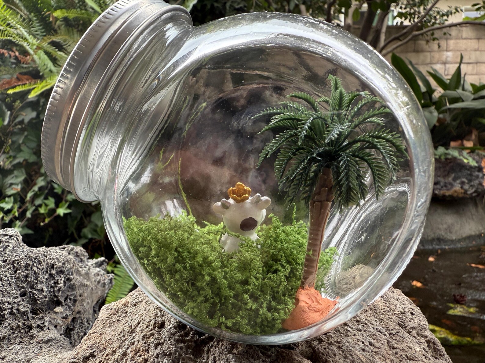 The Cow King Diorama Terrarium Glass Jar - Etsy
