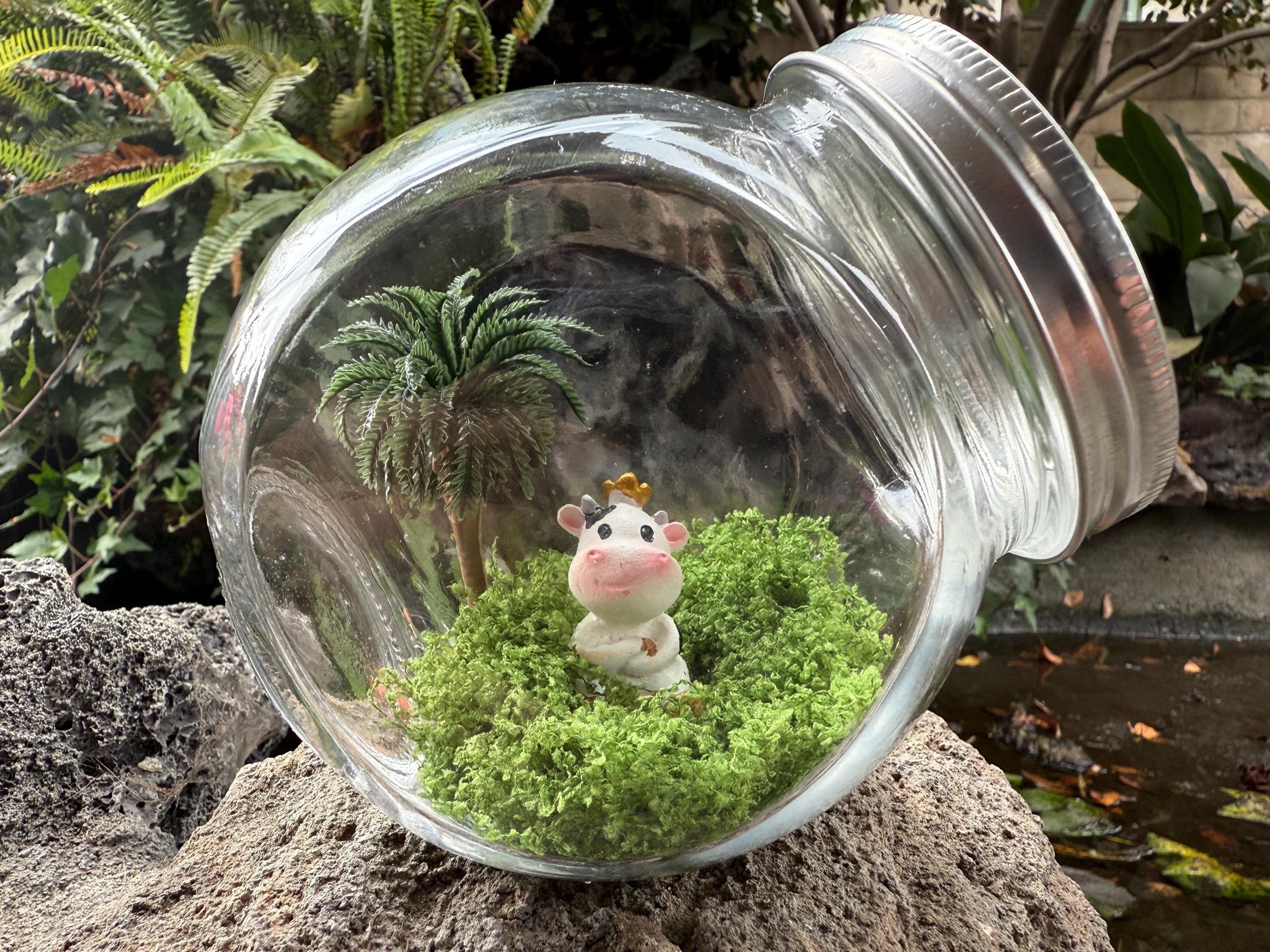 The Cow King Diorama Terrarium Glass Jar - Etsy