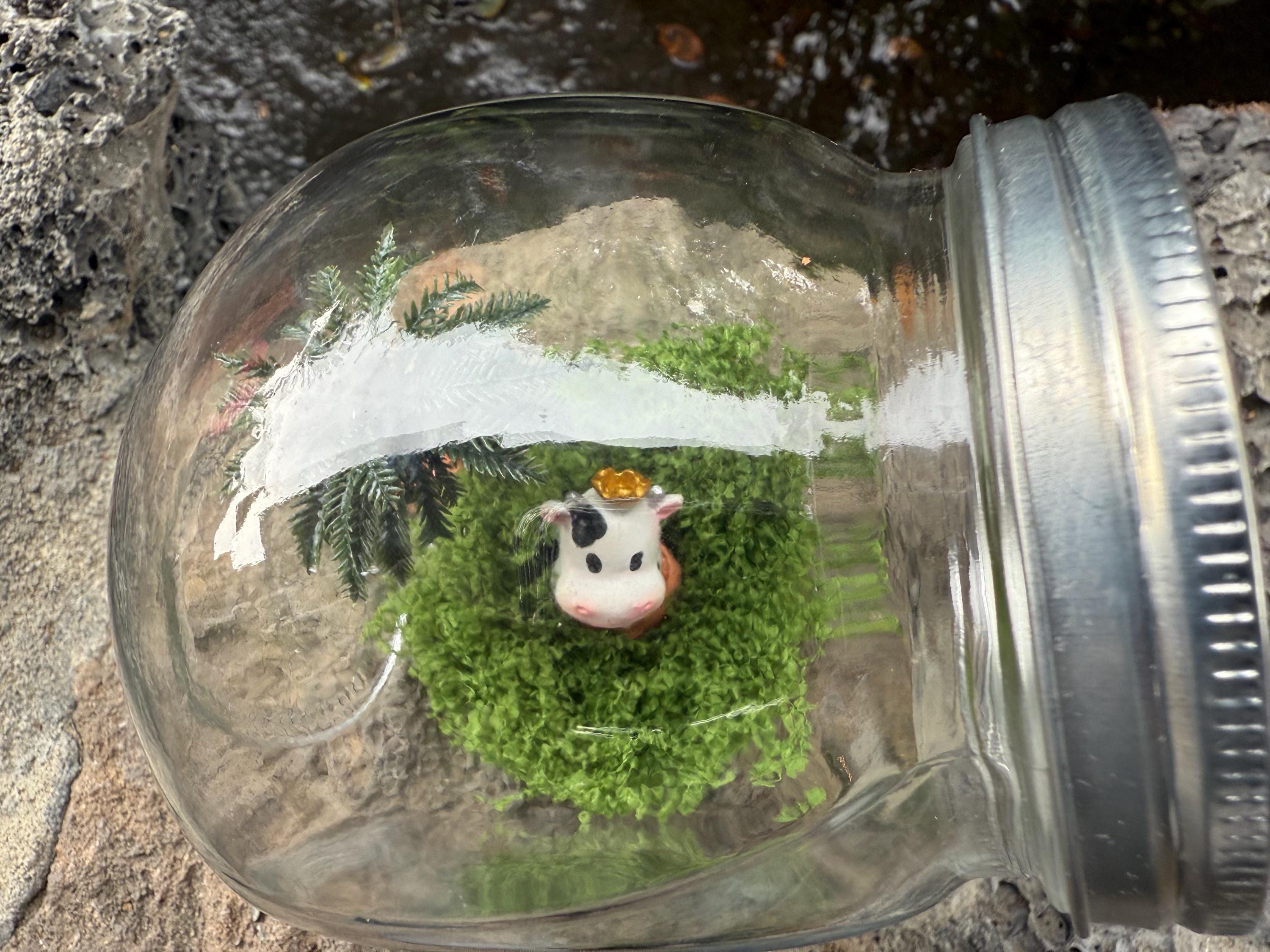 The Cow King Diorama Terrarium Glass Jar - Etsy
