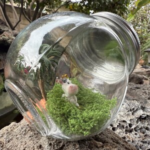 The Cow King Diorama Terrarium Glass Jar - Etsy