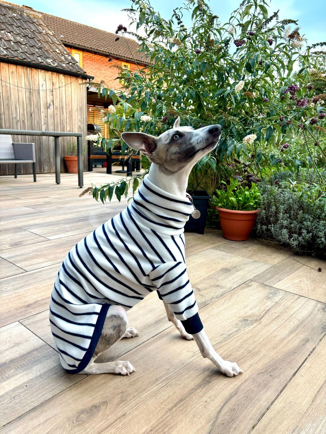 Stripey Whippet Fleece - Cosy Jumper - Sighthound Pyjamas - Etsy