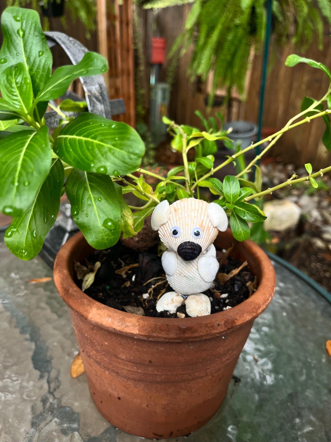 Seashell Animal Art - Laurie the Koala - Etsy