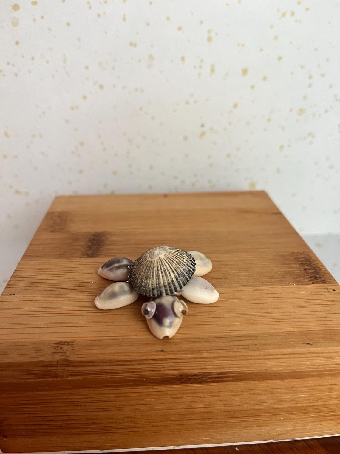 Seashell Animal Art Tina the Turtle - Etsy