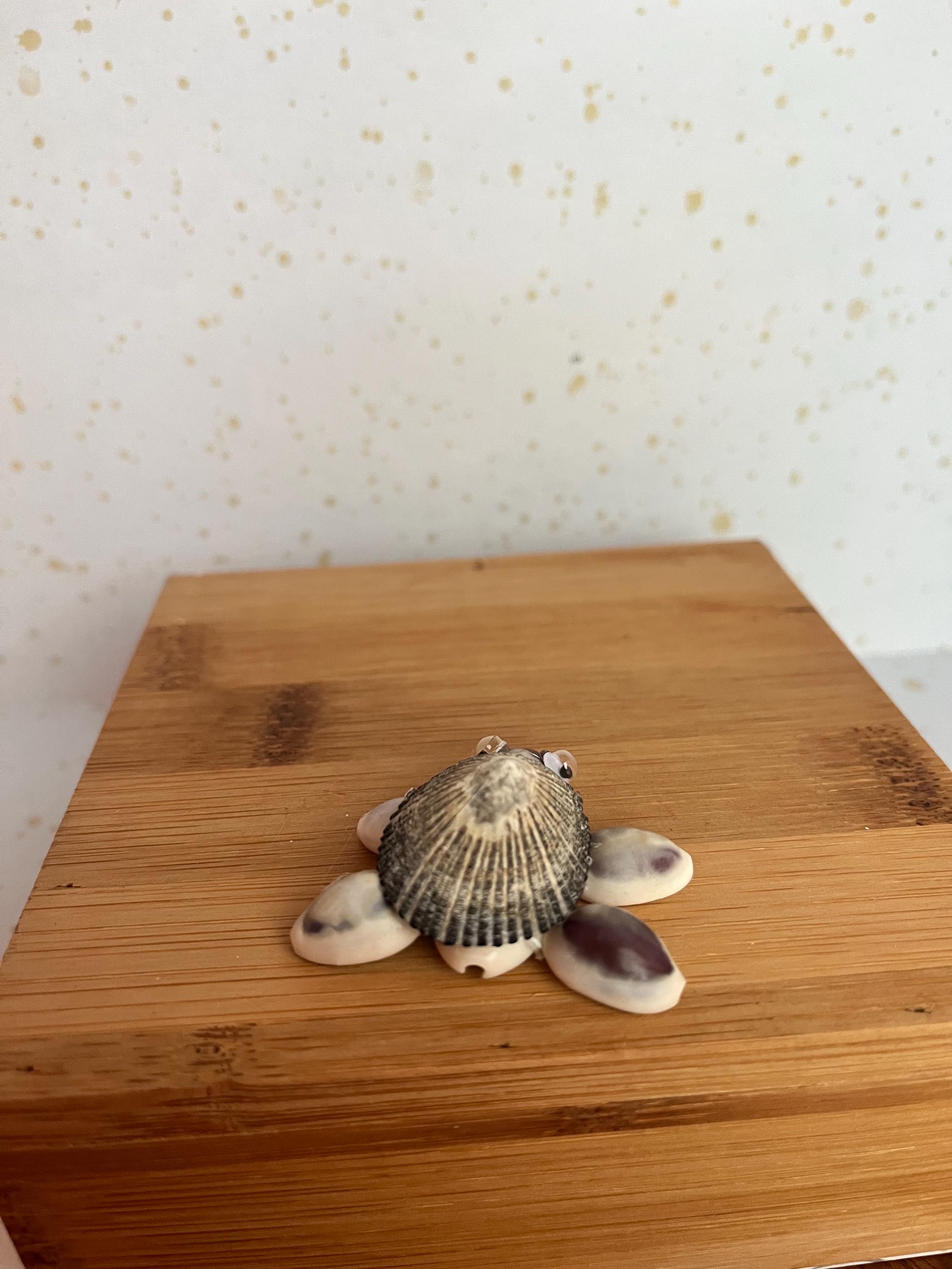 Seashell Animal Art Tina the Turtle - Etsy
