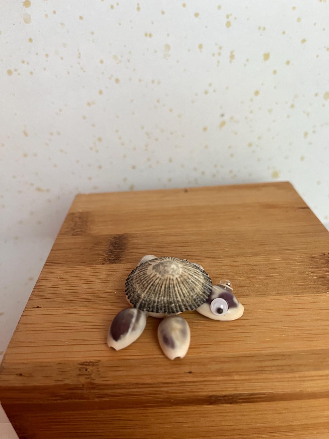 Seashell Animal Art Tina the Turtle - Etsy