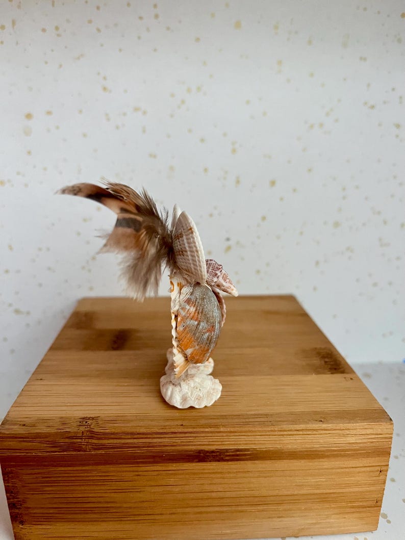 Seashell Animal Art - Margaret the Owl - Etsy