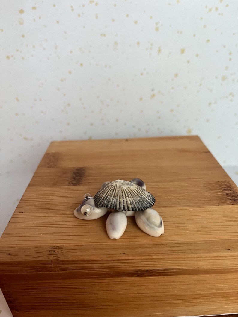 Seashell Animal Art - Tina the Turtle - Etsy