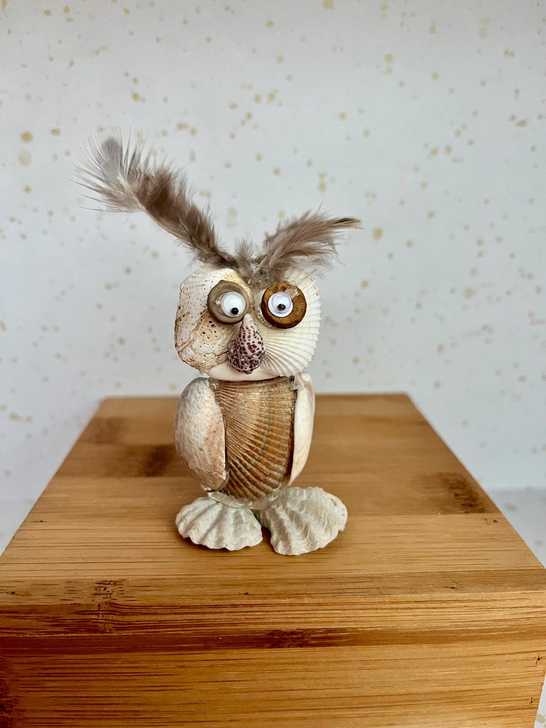 Seashell Animal Art - Daryl the Owl - Etsy