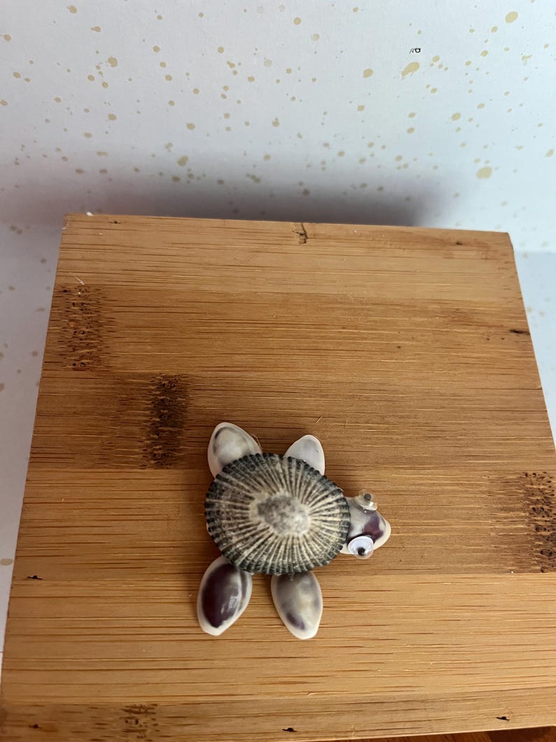 Seashell Animal Art Tina the Turtle - Etsy