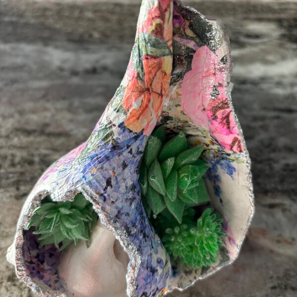 Decoupage Conch Shells - Etsy