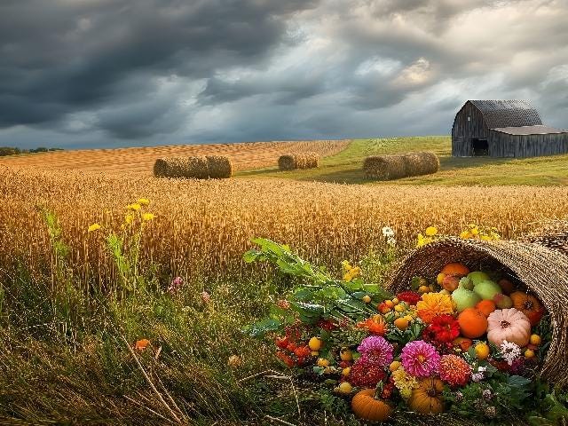 Thanksgiving Desktop Wallpaper Bundle | Cozy Fall Aesthetic | 16:9 ...