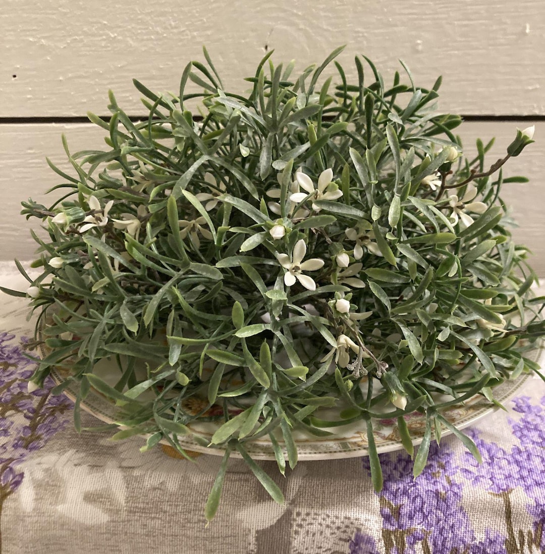 Artificial Wildflower Greenery Half-sphere, 10 In. Half-sphere, Bowl ...