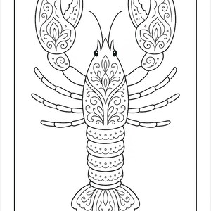 Ocean Animal Mandala Coloring Pages – 9 Digital Prints + FREE Bonus ...