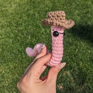 Worm in a Cowboy Hat Amigurumi Pattern PDF - Bug - Stampede - Insect ...