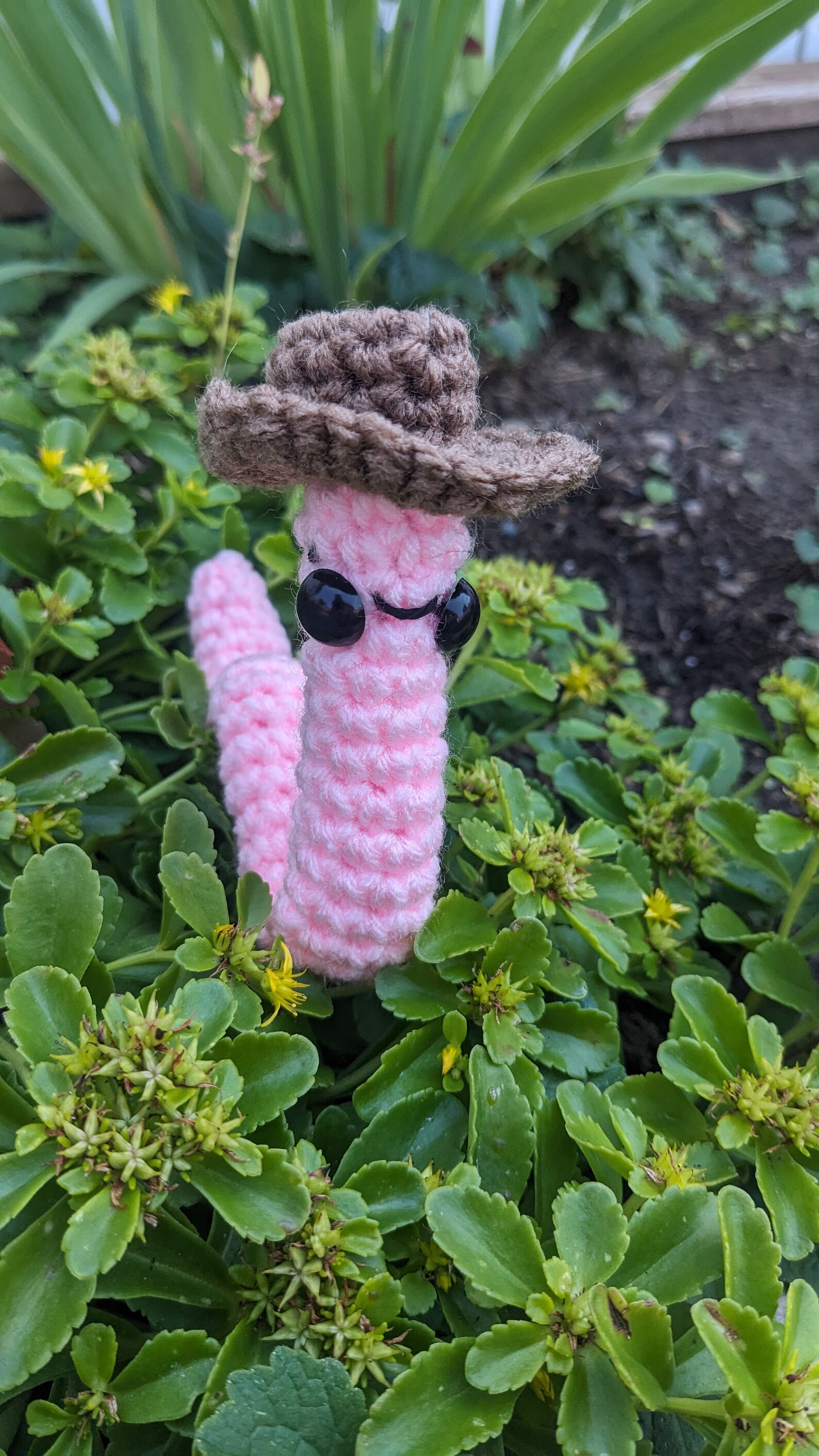 Worm in a Cowboy Hat Amigurumi Pattern PDF Bug Stampede Insect Creepy ...