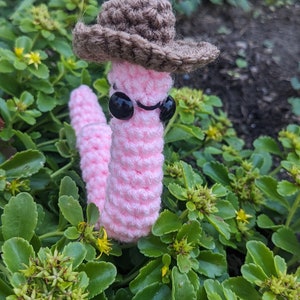 Worm in a Cowboy Hat Amigurumi Pattern PDF - Bug - Stampede - Insect ...