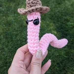 Worm in a Cowboy Hat Amigurumi Pattern PDF - Bug - Stampede - Insect ...