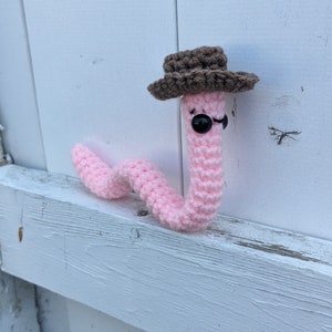 Worm in a Cowboy Hat Amigurumi Pattern PDF - Bug - Stampede - Insect ...