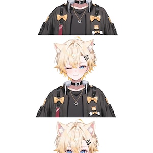 Live2d Model: Orange Cat Boy – Vtuber Model FULLY RIGGED - Ready to Use ...