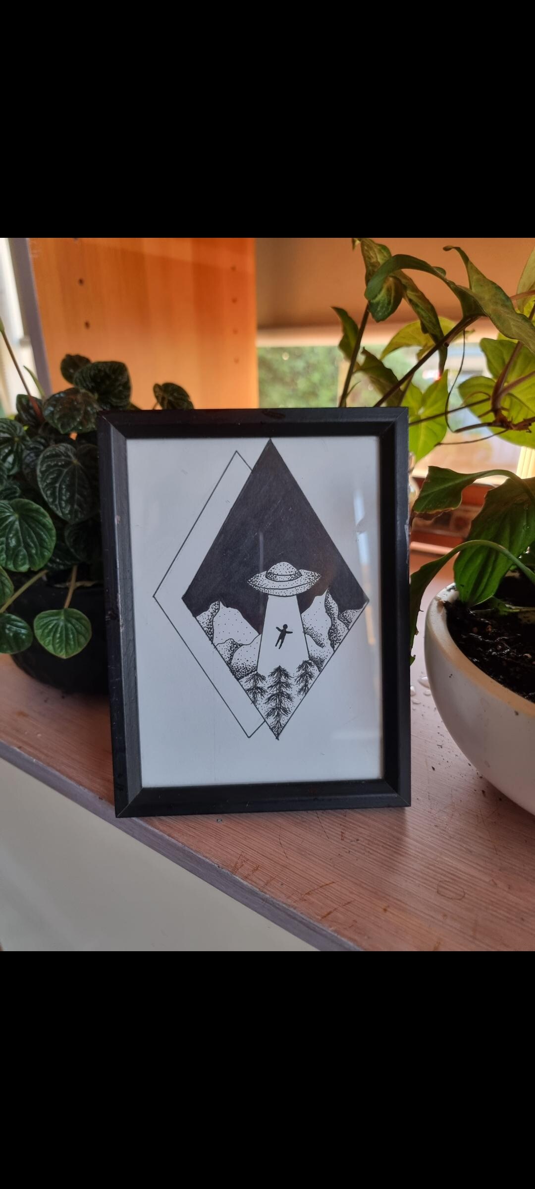 Alien Abduction Art - Etsy