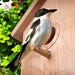 Wooden Window Bird House, Acrylic Viewing, Outdoor Hanging Feeder - Etsy