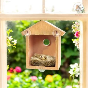 Wooden Window Bird House, Acrylic Viewing, Outdoor Hanging Feeder - Etsy