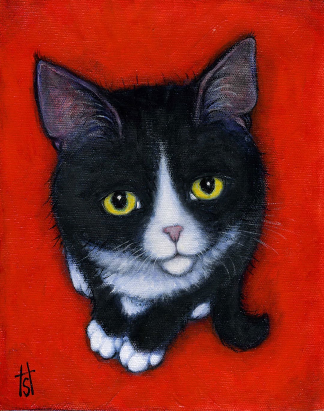 Harry Kitten. 8 X 10 Print - Etsy