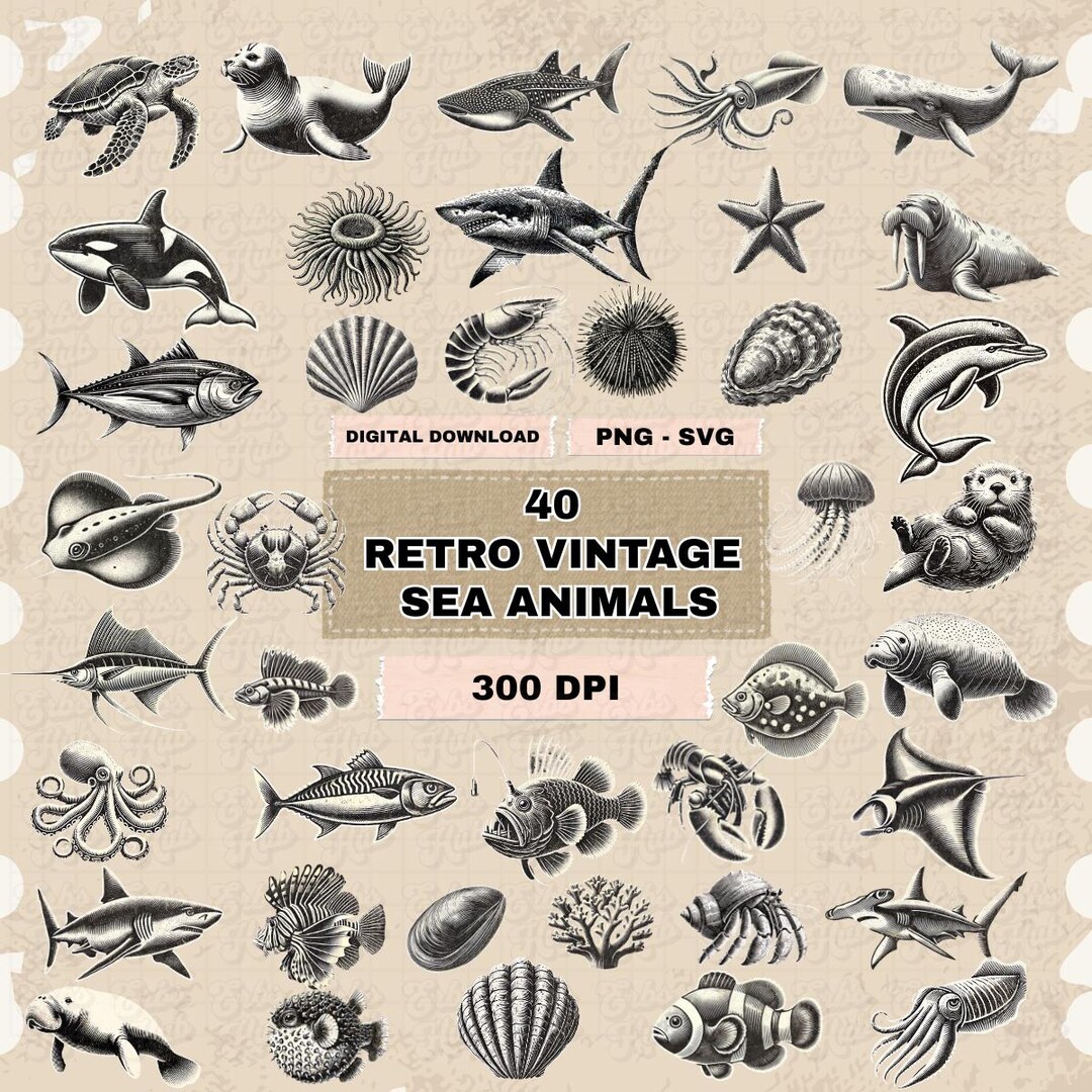 Retro Sea Animals PNG Bundle: Vintage Ocean Graphics (commercial Use ...