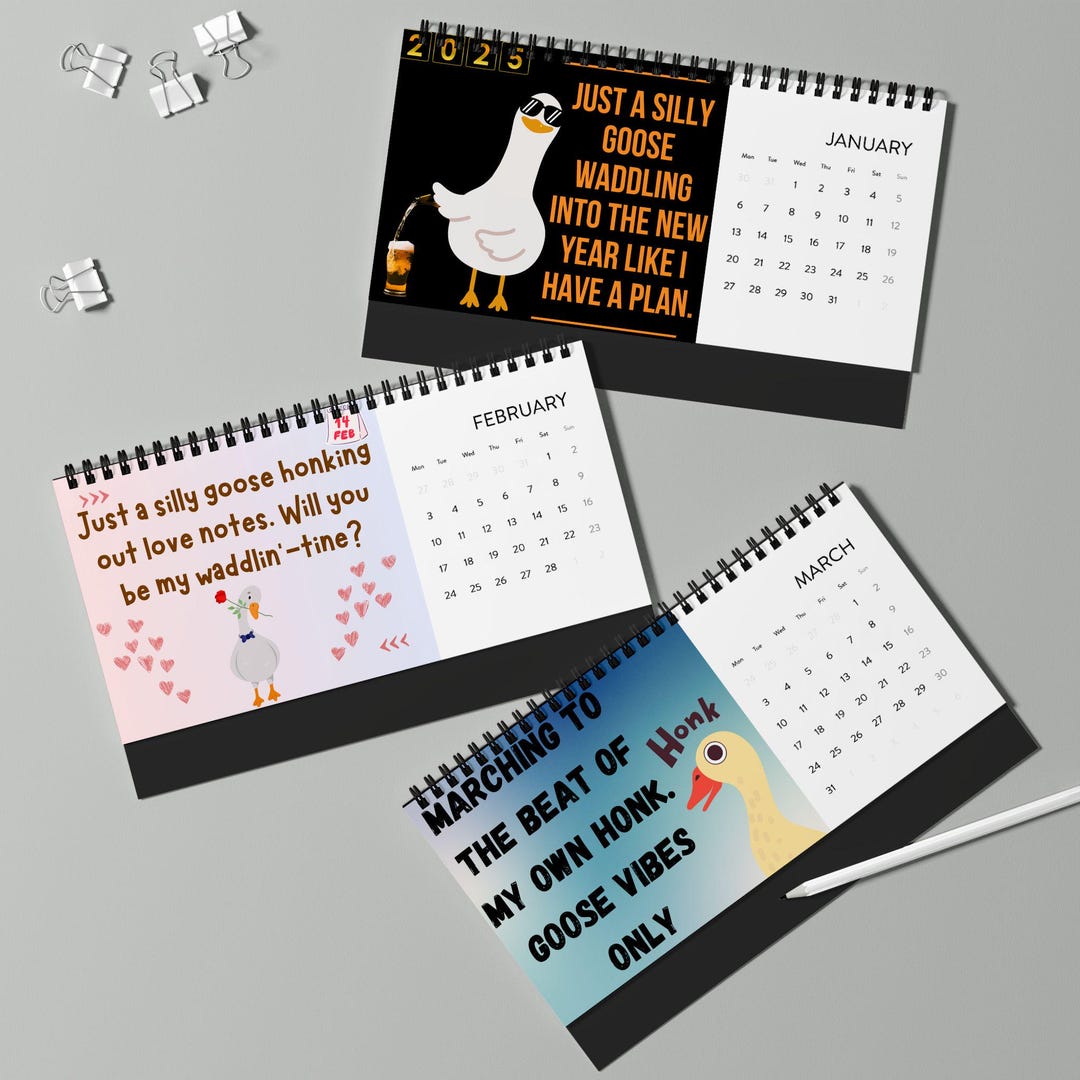 Silly Goose Funny Desk Calendar With Monthly Humor for Home Office ...