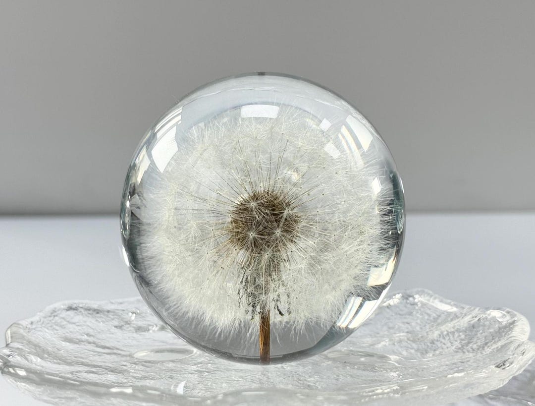 Dandelion Resin Paperweight, Dandelion Sphere, Dandelion Desk Home ...