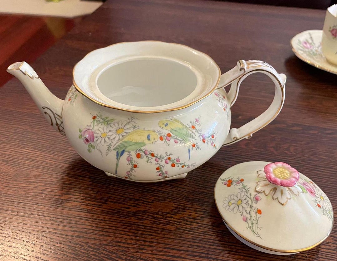 Paragon Budgie Teapot. Paragon 1930 Princess Margaret Rose Bone China ...
