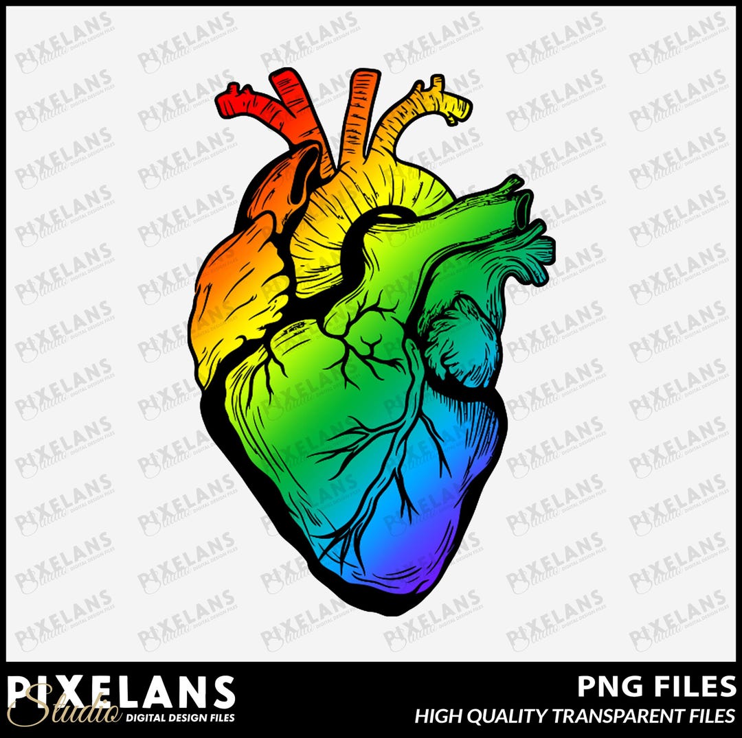Rainbow Heart Digital Design Download, Rainbow Anatomical Heart, Pride ...