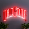 Ohio State University Buckeyes Athletic Logo Dual Color LED Neon Sign ...