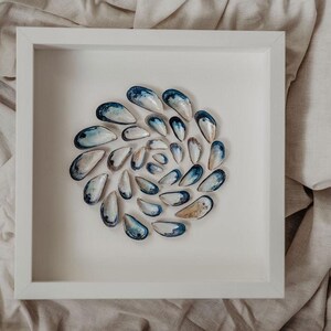 Mussel Shells White Shell Art Picture Sea Shell Art Picture - Etsy