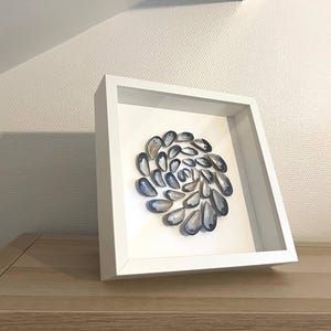 Mussel Shells Sustainable Art for Cozy Bedroom Interior Decor With ...